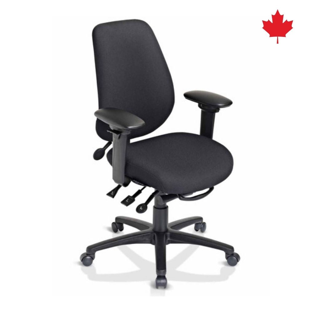 ErgoCentric GeoCentric Multi-tilt Office Task Chair - fitzBODY.com